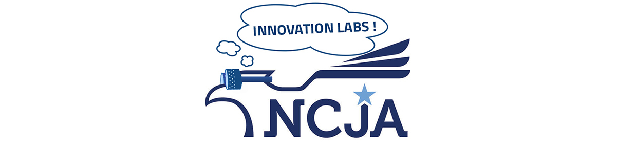 National Criminal Justice Association: Innovation Lab: Strategies for ...